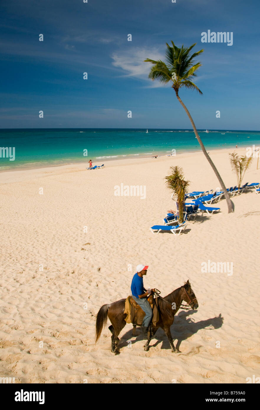 Tropical beach and horseback riding High Resolution Stock Photography ...