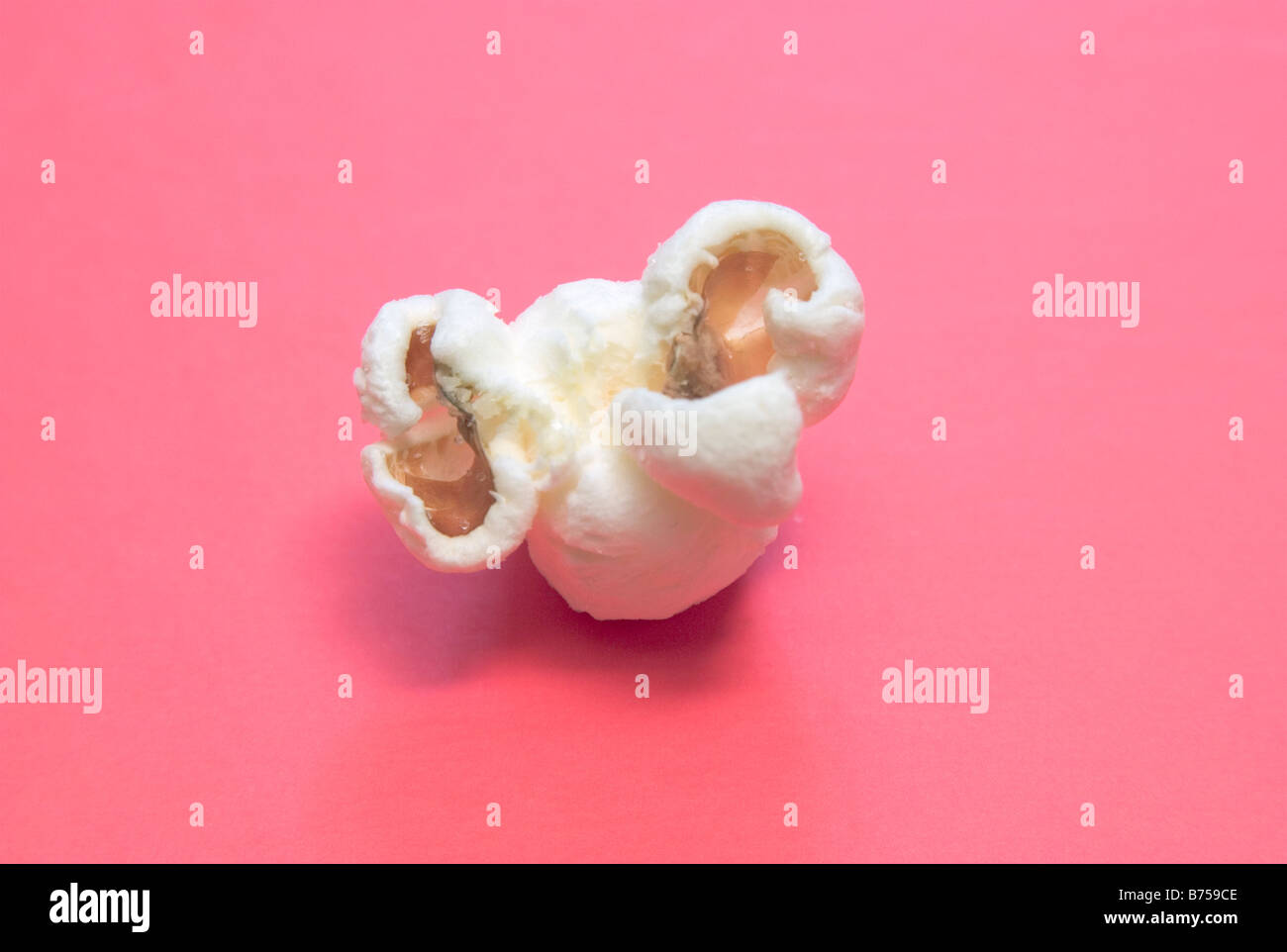 Popping studio shot still life horizontal one single popcorn indoor hi ...