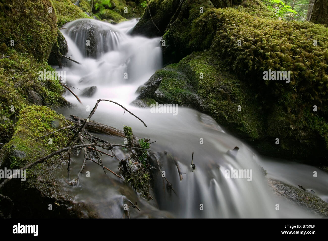 Stream flows through mossy rocks hi-res stock photography and images ...