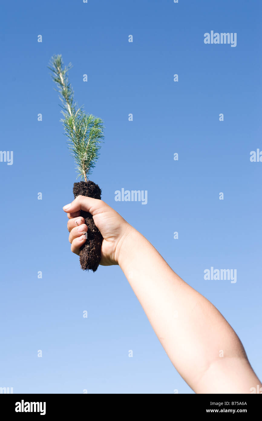 Tree seedling hand hi-res stock photography and images - Alamy
