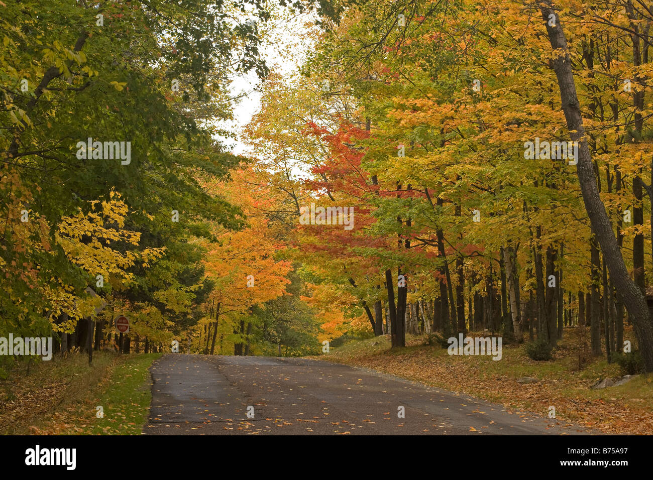 Rib mountain hi-res stock photography and images - Alamy