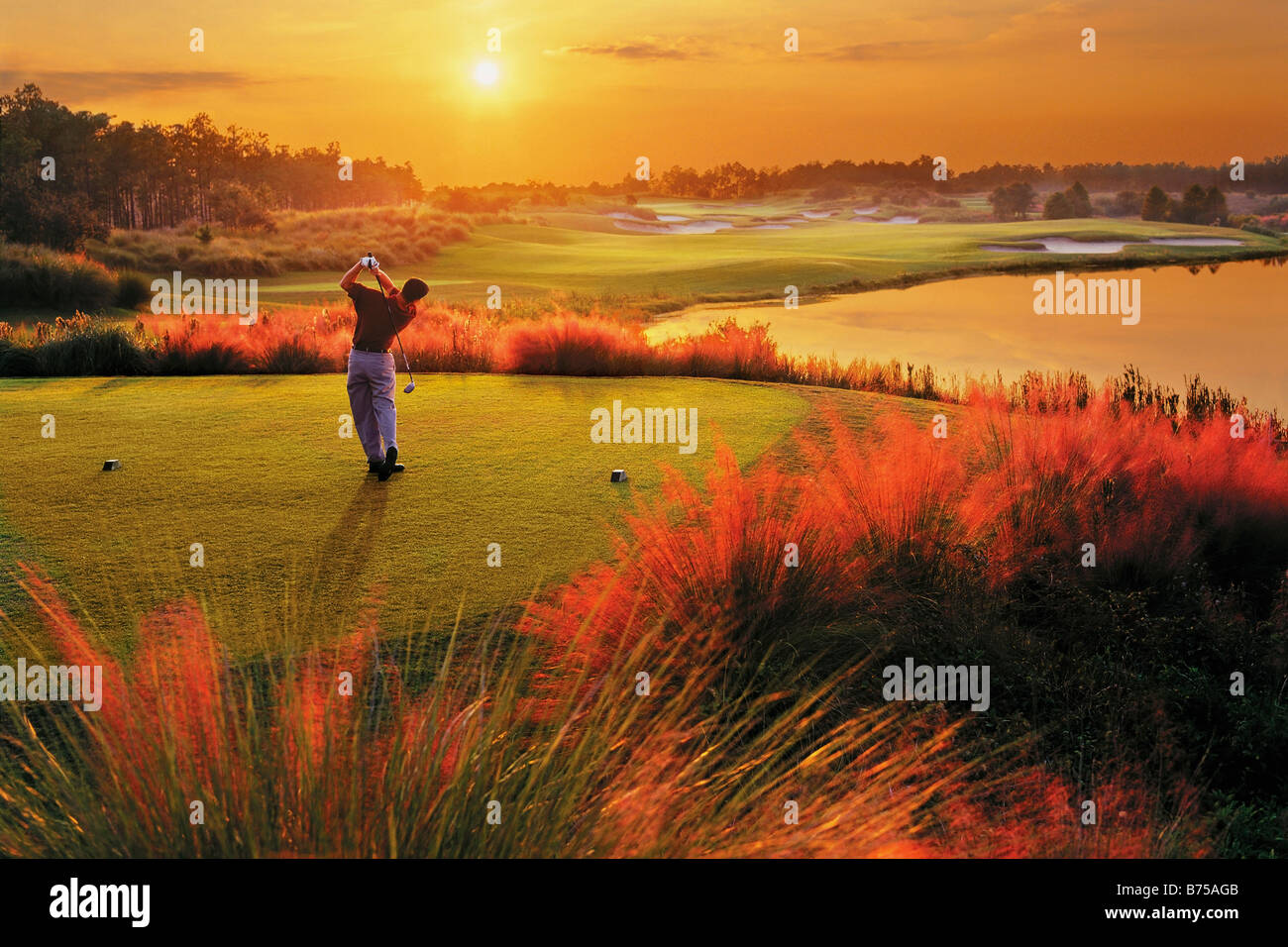 Rear view of a person playing golf in a golf course Stock Photo - Alamy