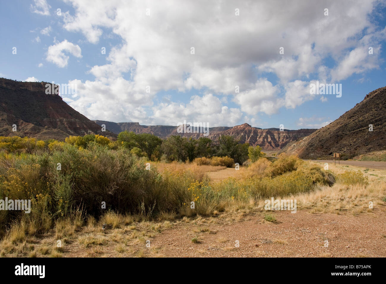 Having the base of drama hi-res stock photography and images - Alamy