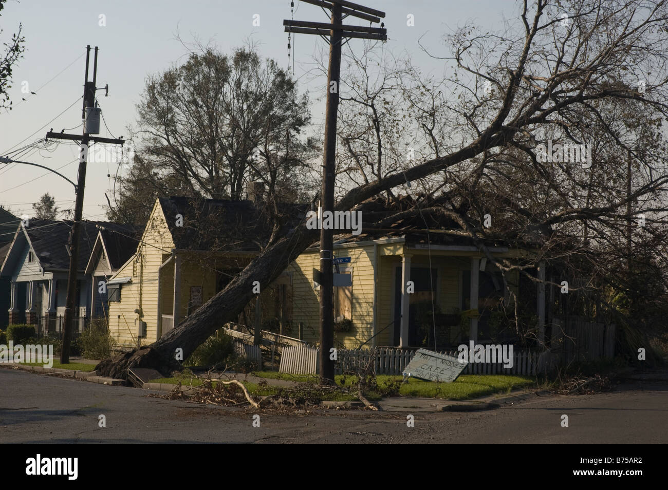 wooden single storey house damaged by fallen tree after hurricane ...