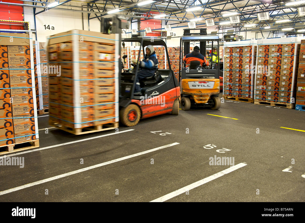 Netherlands Port of Rotterdam fruithaven Stock Photo - Alamy