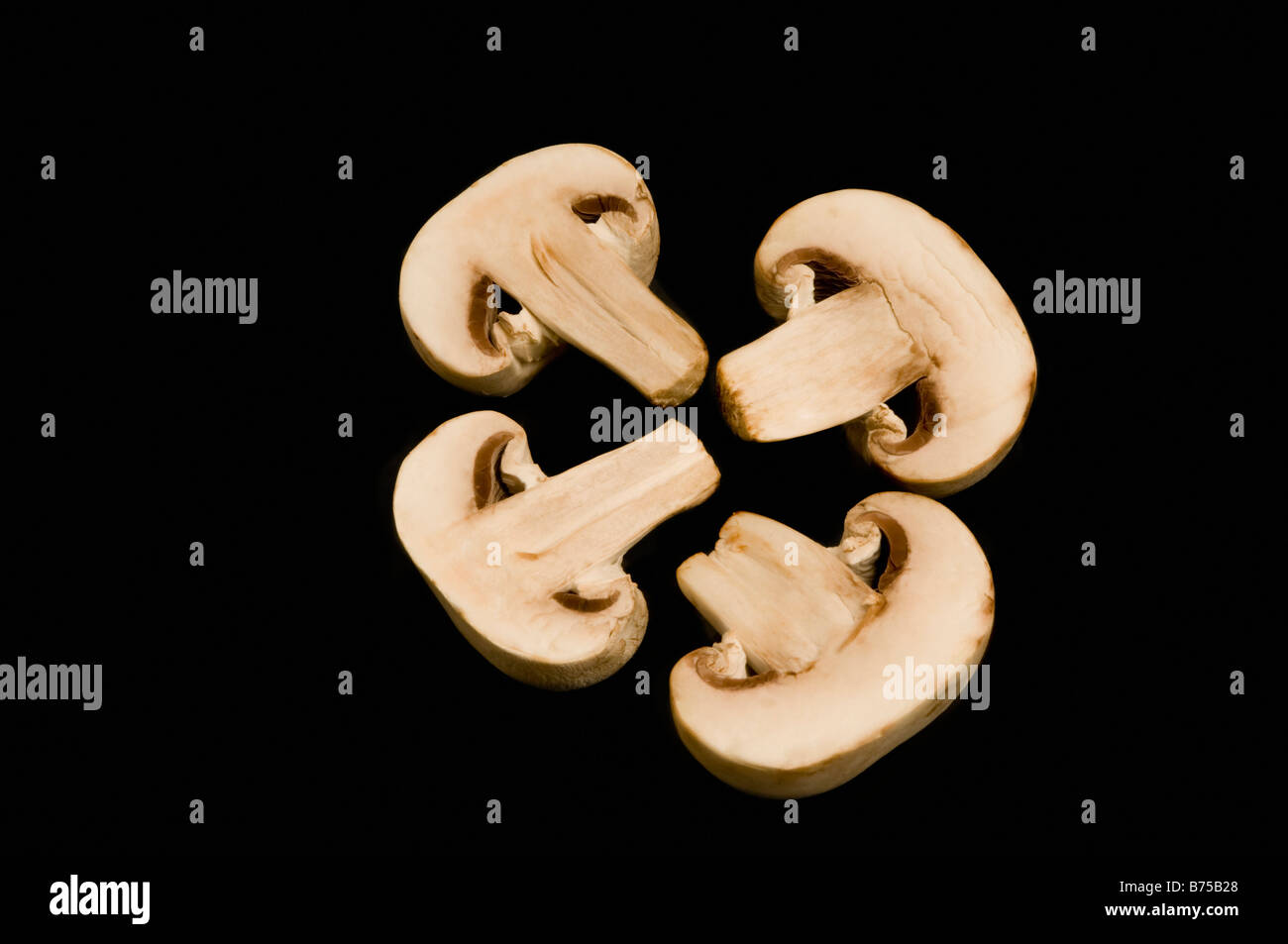 Mushrooms cross section hi-res stock photography and images - Alamy