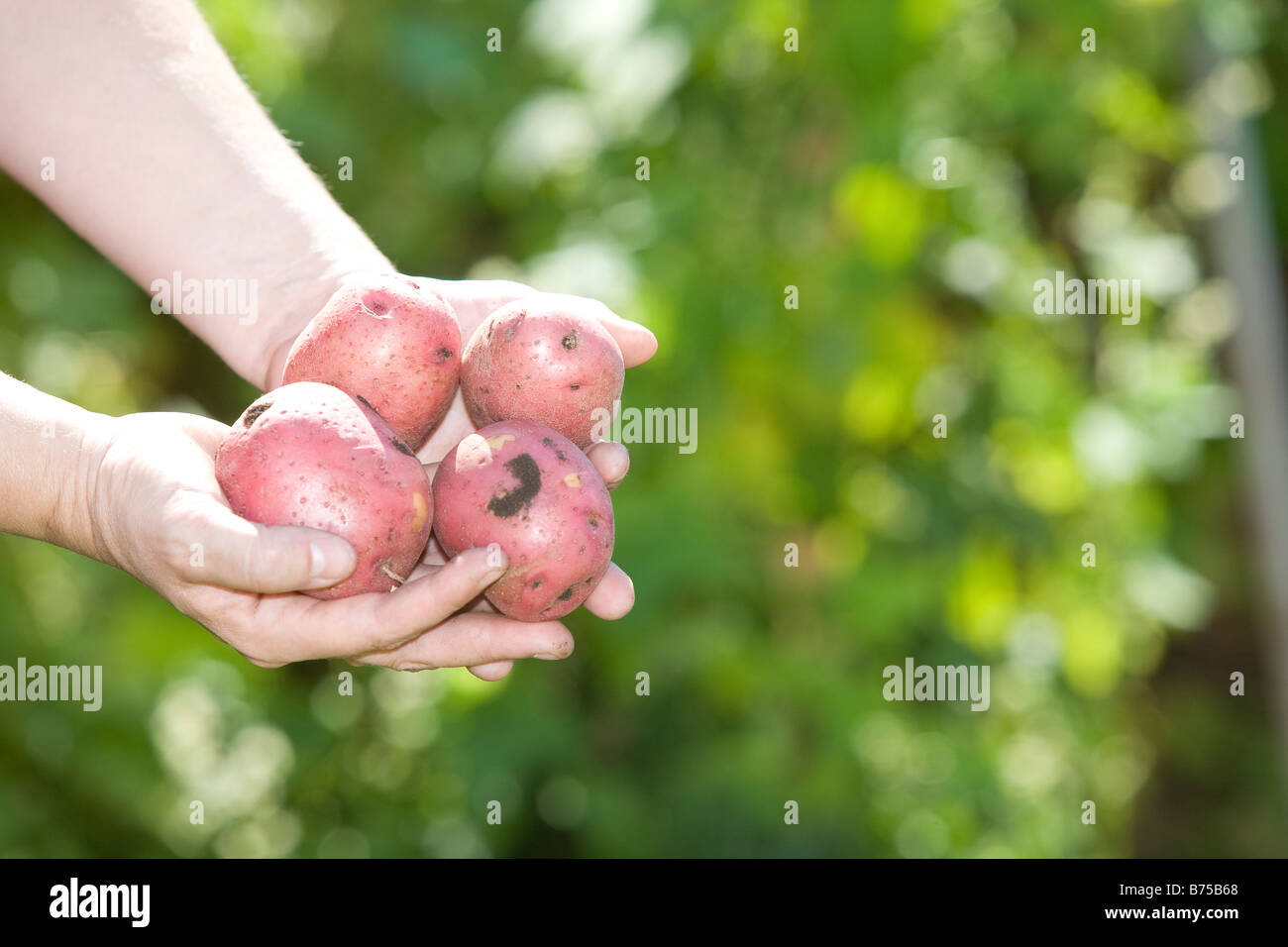 Hands horizontally hi-res stock photography and images - Alamy