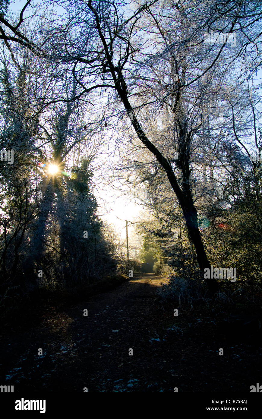 Reigate Hill, The Inglis Memorial at Colley Hill and in the winter ...