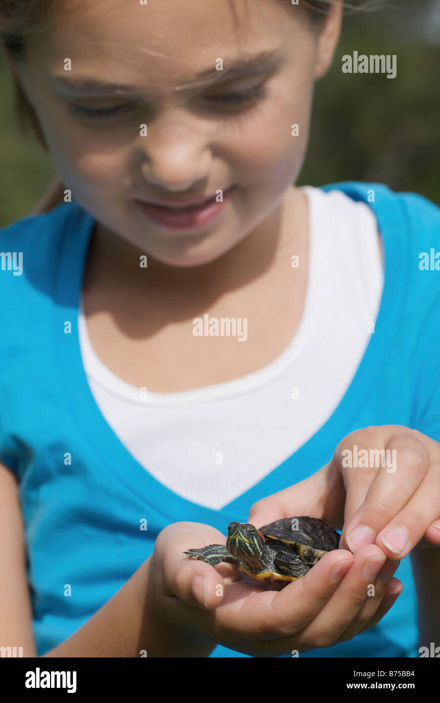 Eight year old girl with turtle, Winnipeg, Canada Stock Photo - Alamy