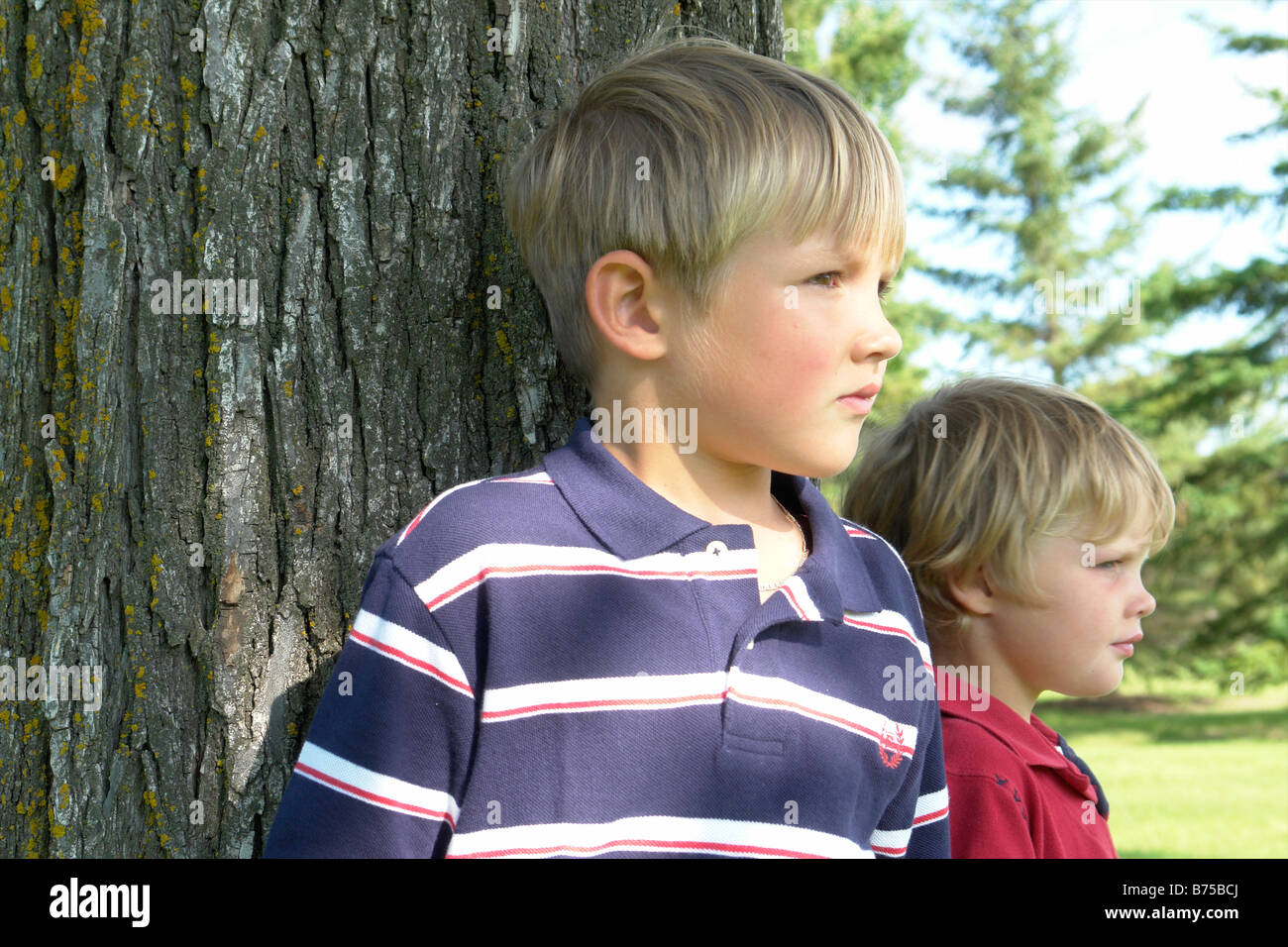Plants standing beside hi-res stock photography and images - Alamy