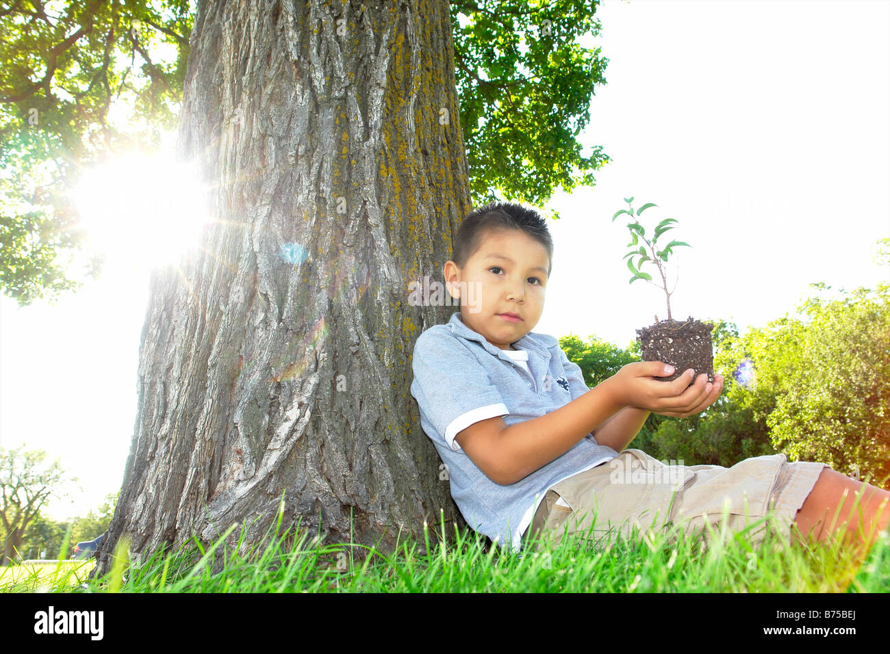 Six year old boy holds small tree, seated beside large tree, Winnipeg ...