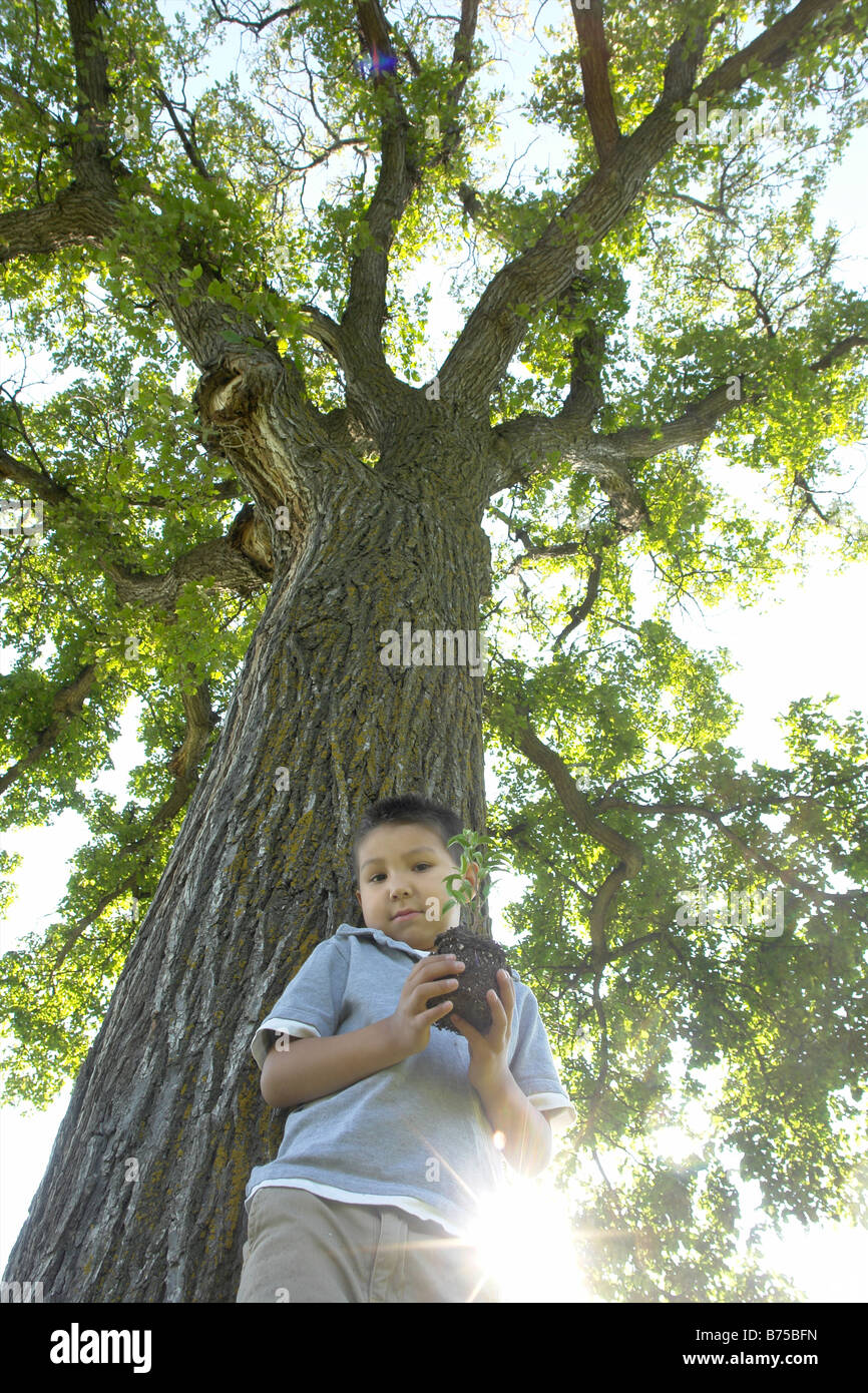 Low angle view, six year old boy holding small tree beside large tree ...