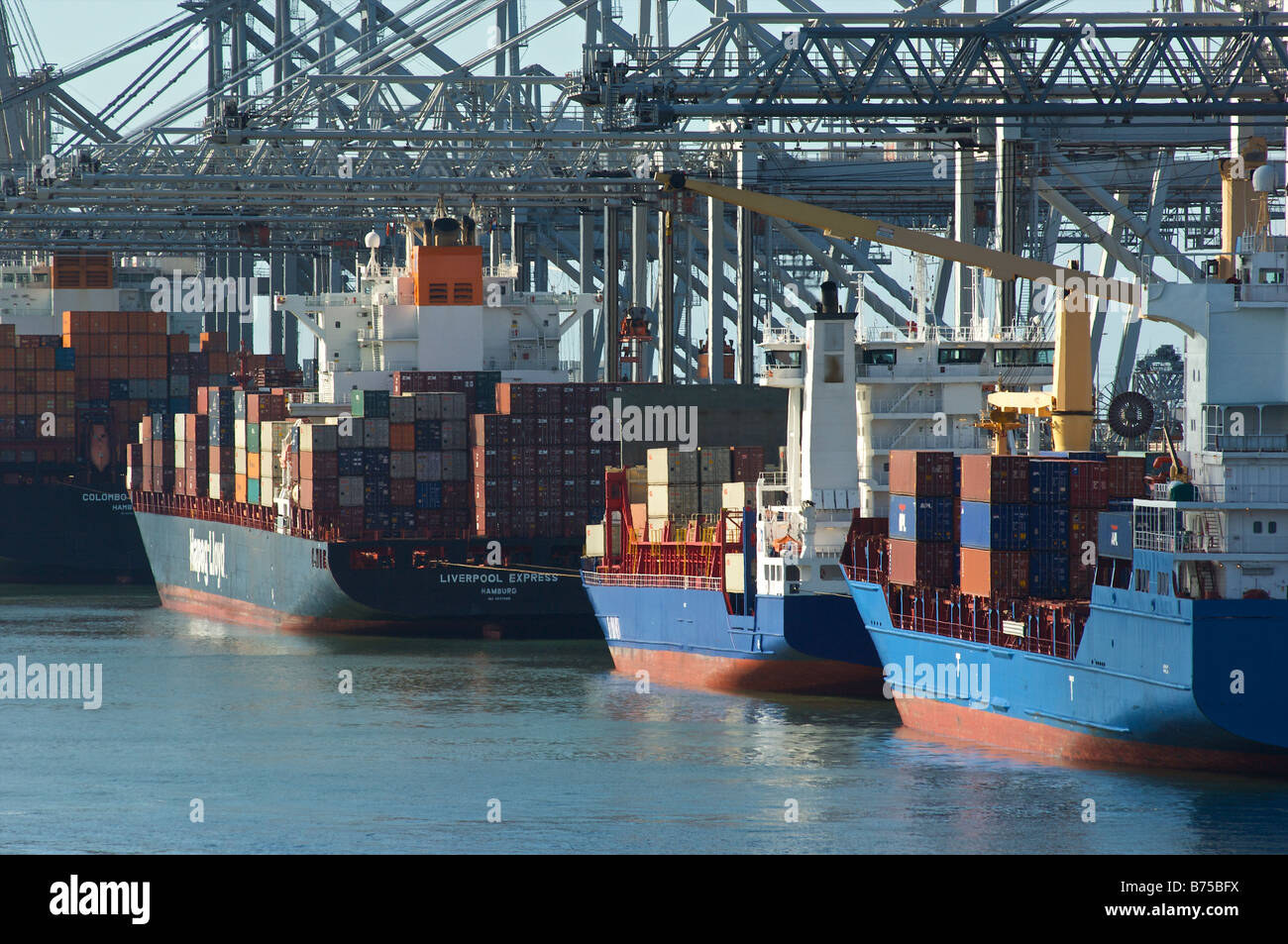Container ships at the ECT container Terminal Stock Photo - Alamy