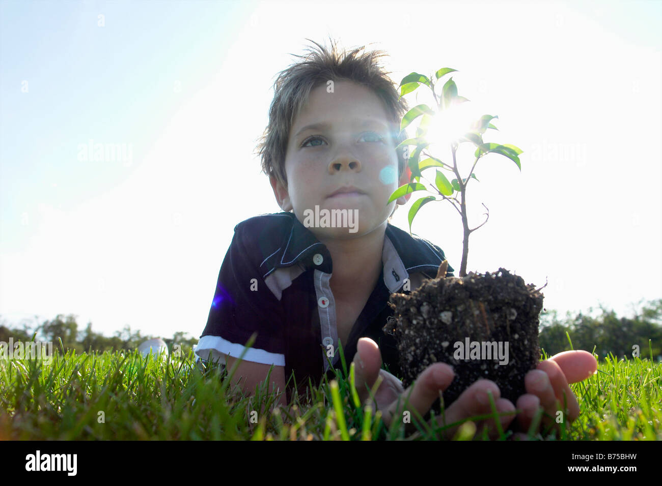 Low angle 8 year old boy lying on grass holding small tree, Winnipeg ...