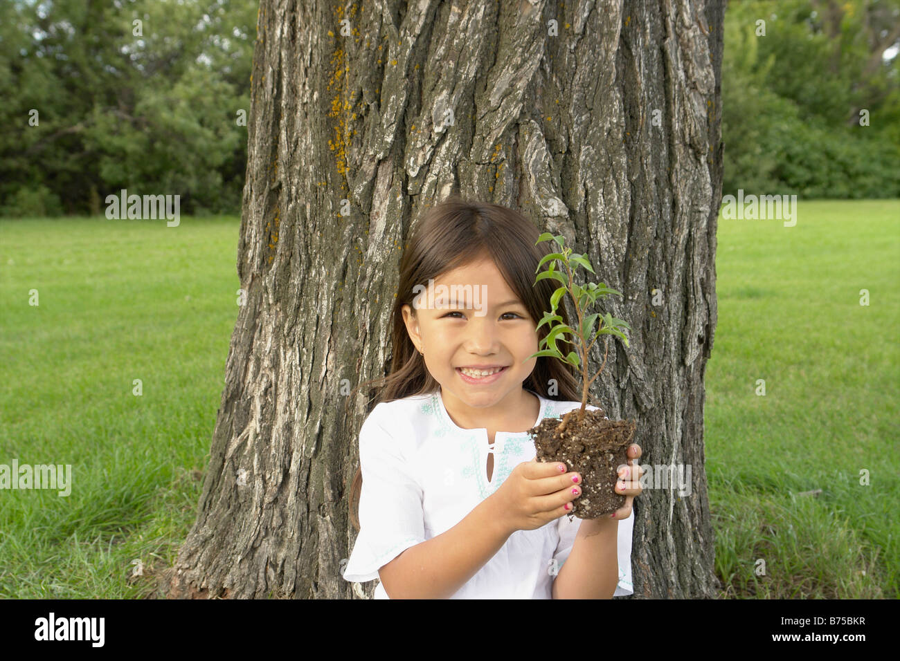 Six year old girl holding small tree, Winnipeg, Manitoba, Canada Stock ...