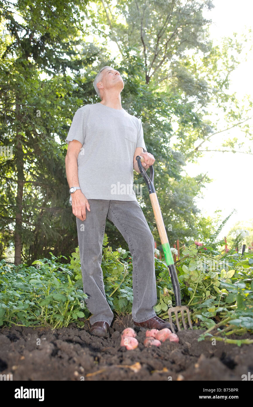 Old Chinese Men Digging Potatoes