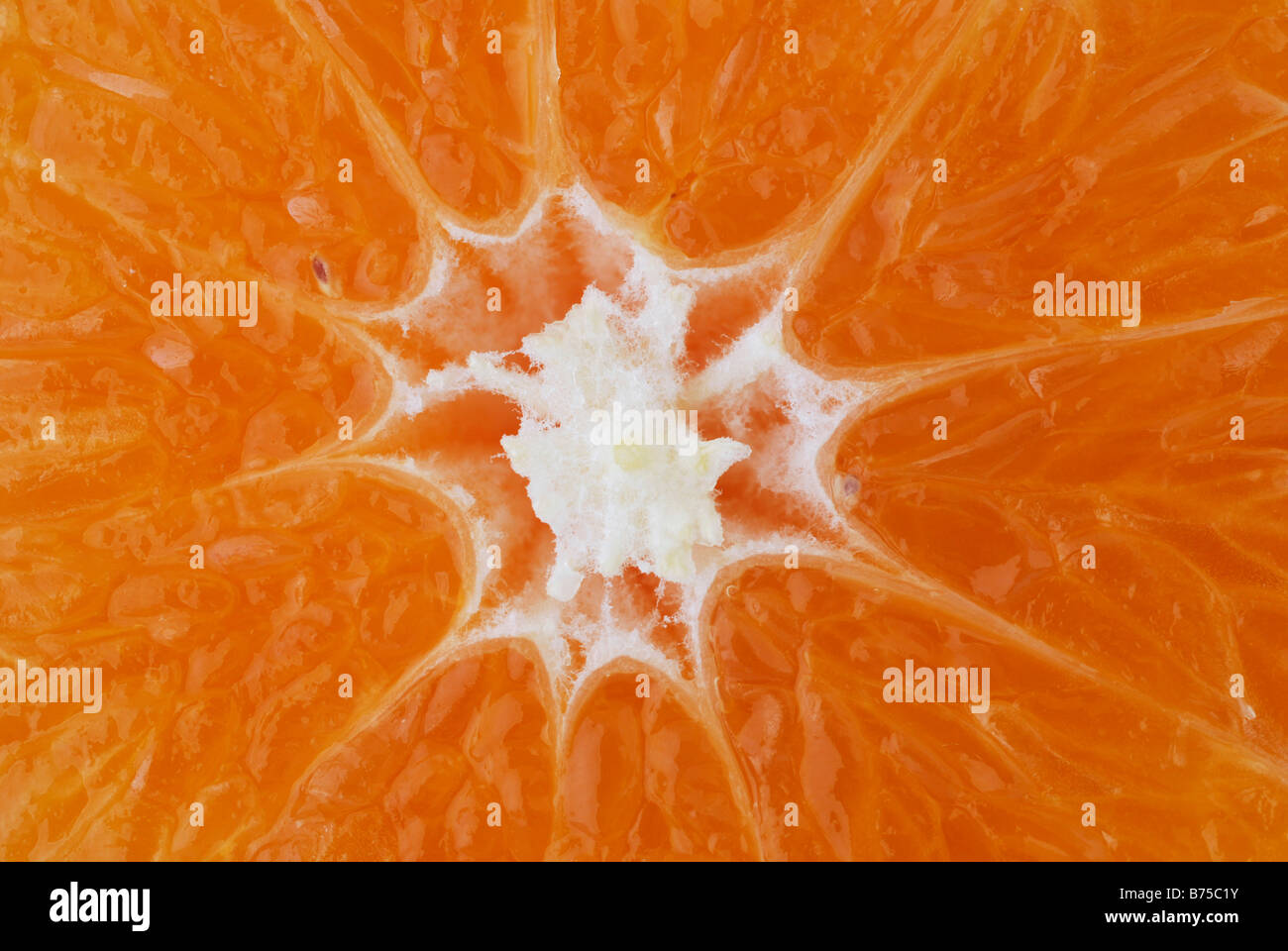 Clementine close up hi-res stock photography and images - Alamy
