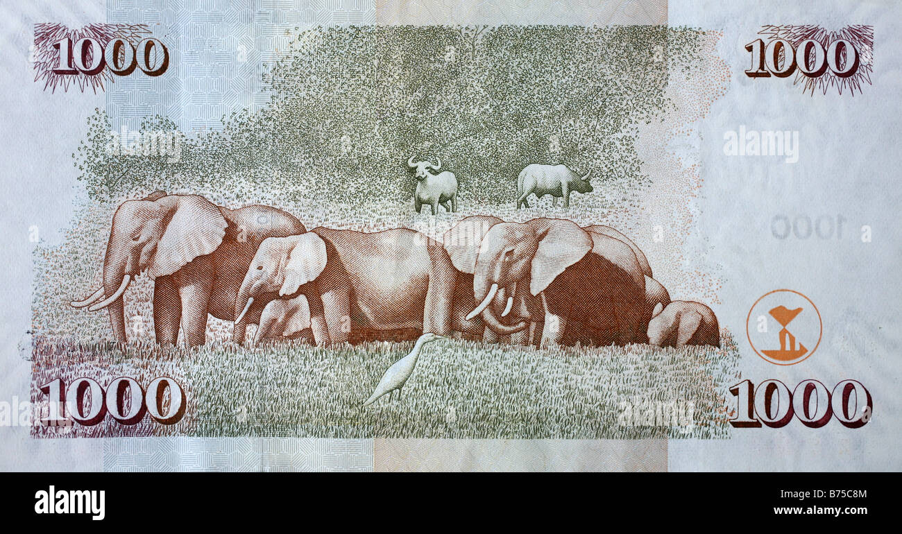 Notes of the kenya shilling Stock Photo - Alamy