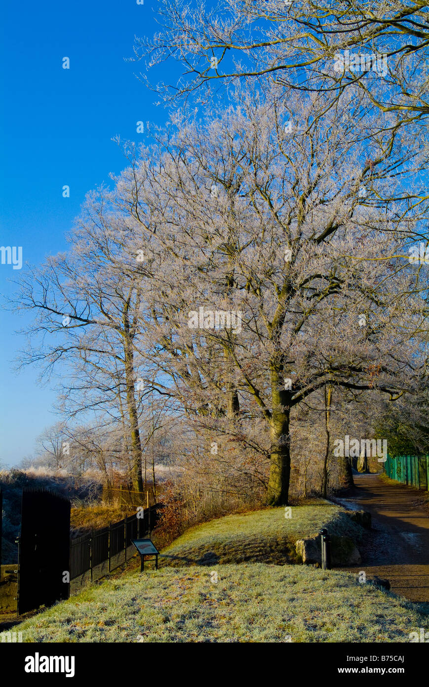 Colley hill reigate memorial in hi-res stock photography and images - Alamy