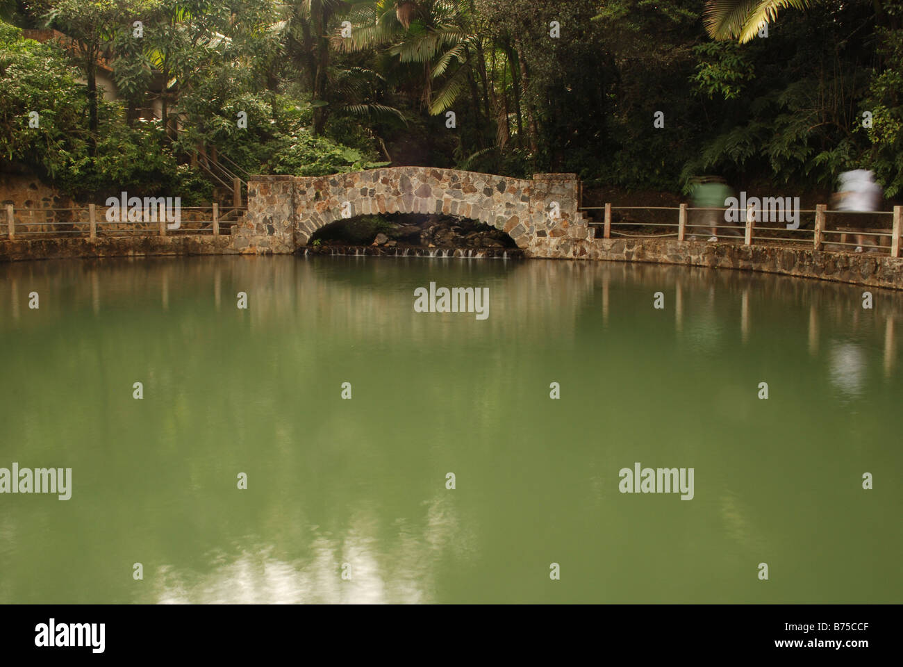 The Yunque National Forest is the only tropical rain forest in the ...