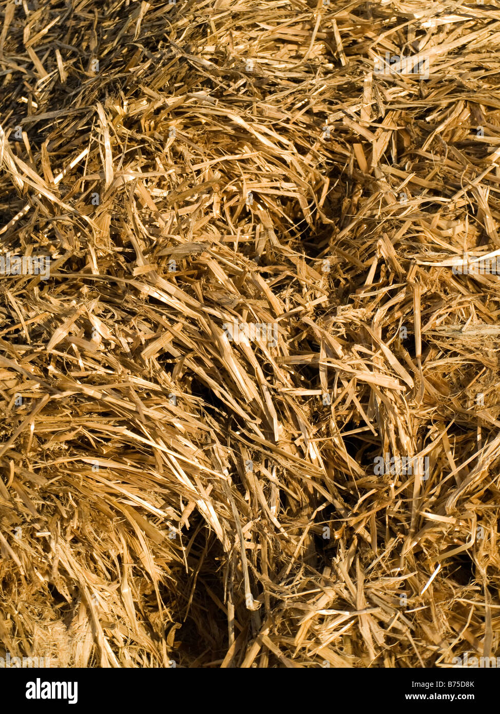 Wet Hay Straw Background Texture Stock Photo - Alamy
