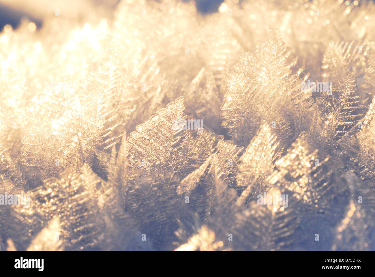 The crystal hi-res stock photography and images - Alamy