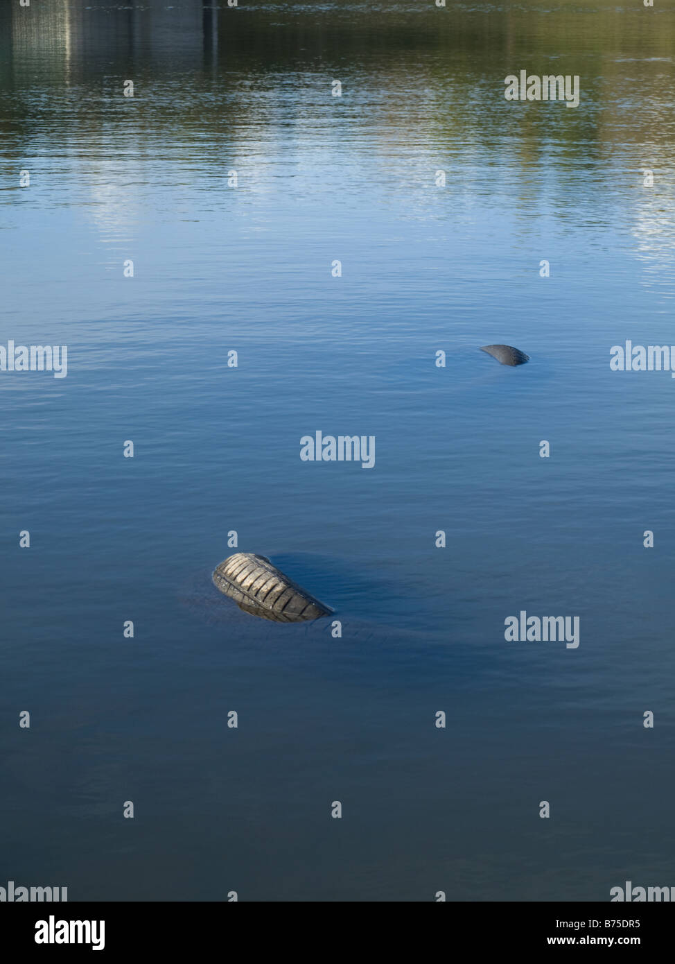 Floating tyre hi-res stock photography and images - Alamy