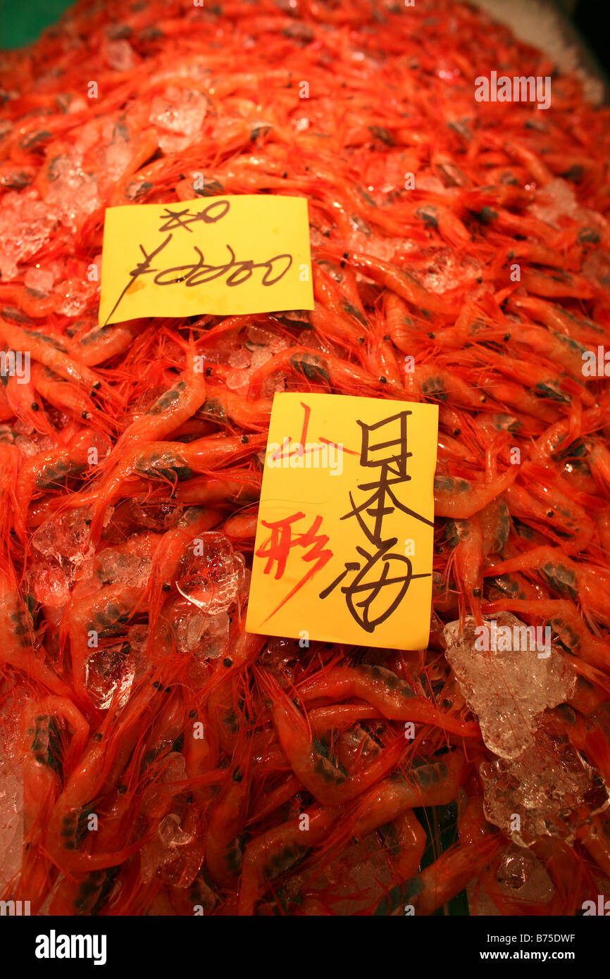 Fish slaughterhouse hi-res stock photography and images - Alamy