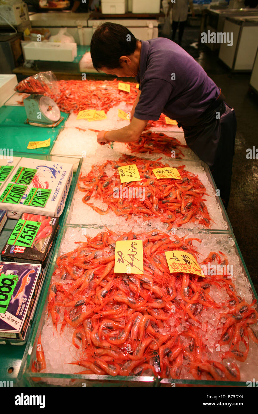 Fish slaughterhouse hi-res stock photography and images - Alamy