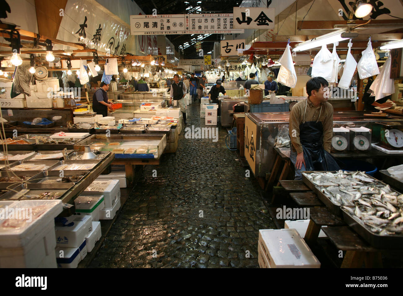 Fish slaughterhouse hi-res stock photography and images - Alamy