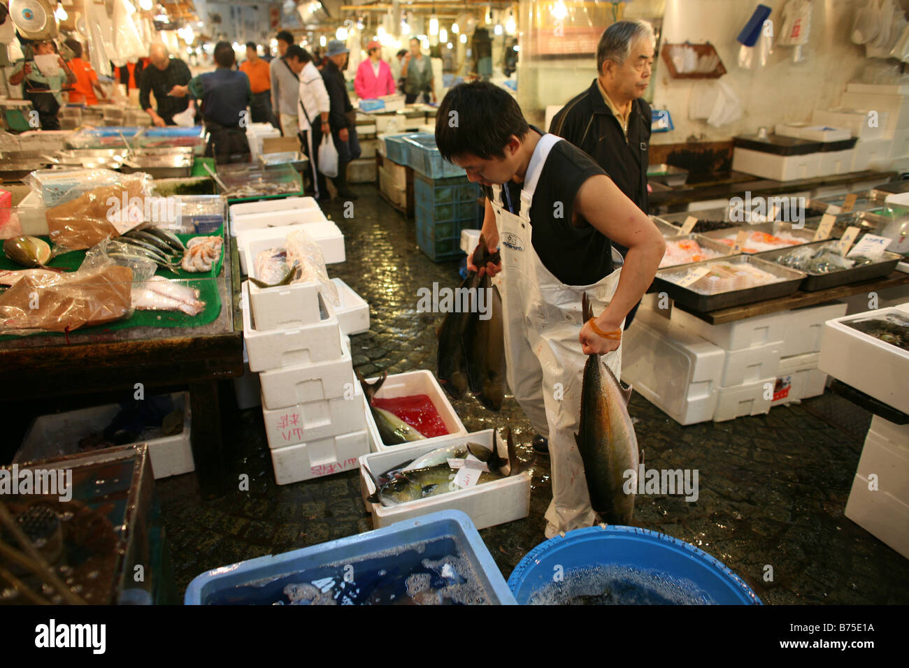 Fish slaughterhouse hi-res stock photography and images - Alamy