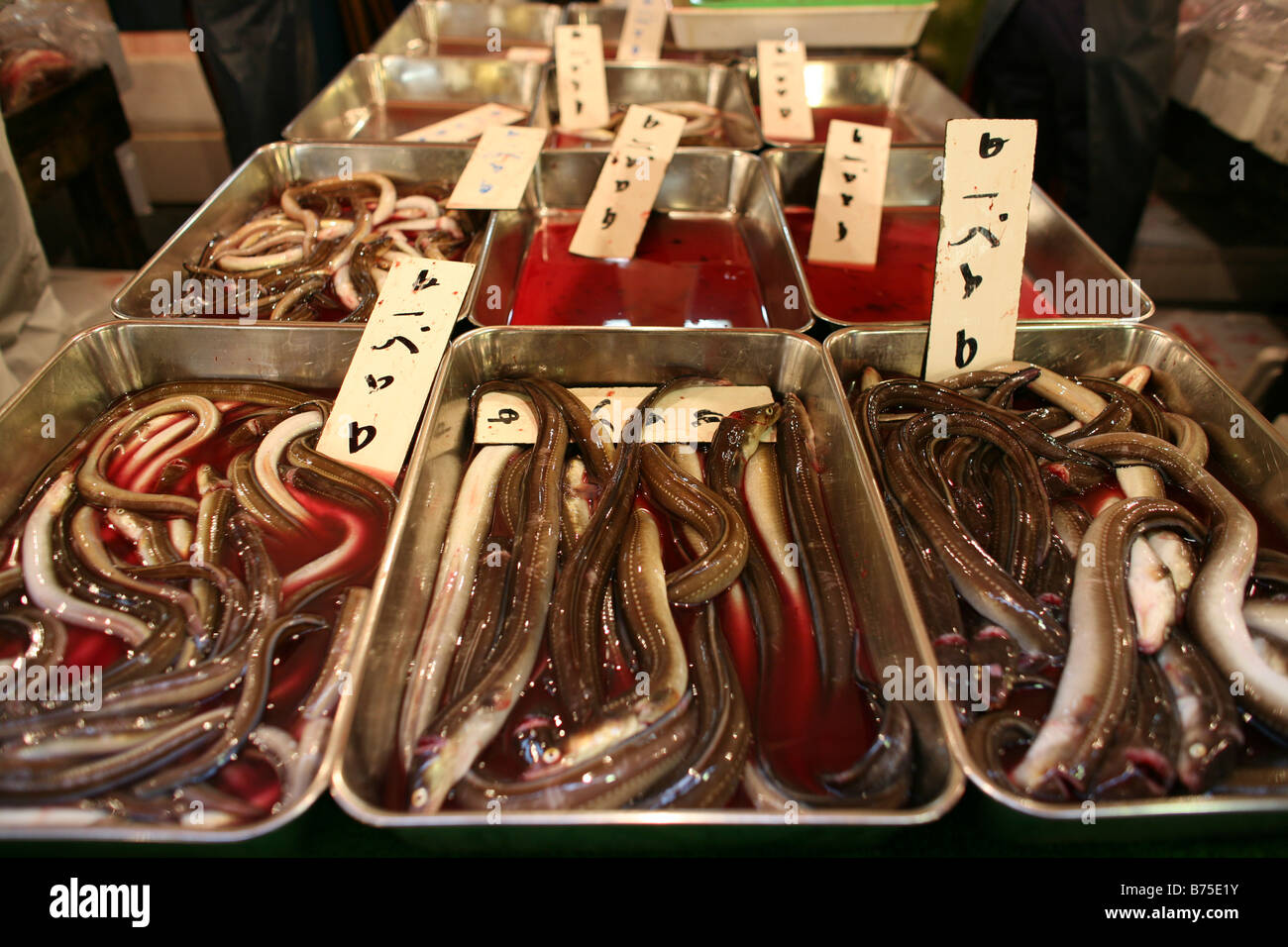 Fish slaughterhouse hi-res stock photography and images - Alamy