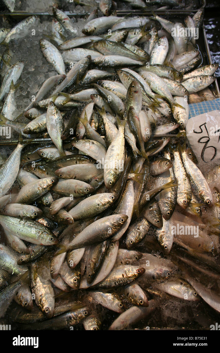 Fish slaughterhouse hi-res stock photography and images - Alamy