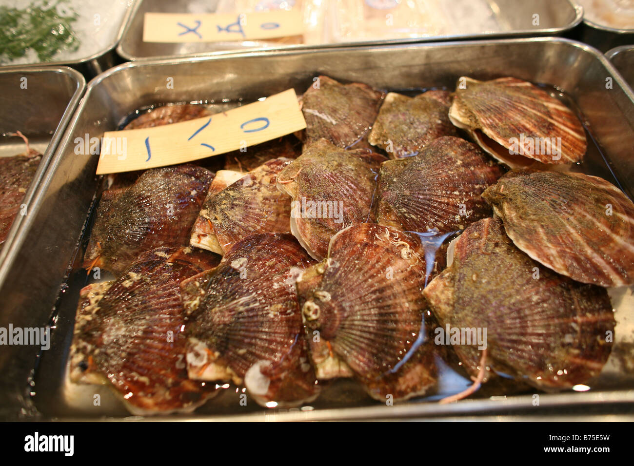 Fish slaughterhouse hi-res stock photography and images - Alamy