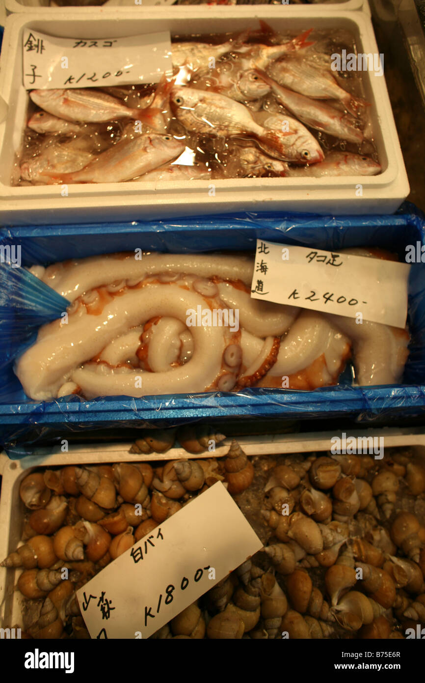 Fish slaughterhouse hi-res stock photography and images - Alamy