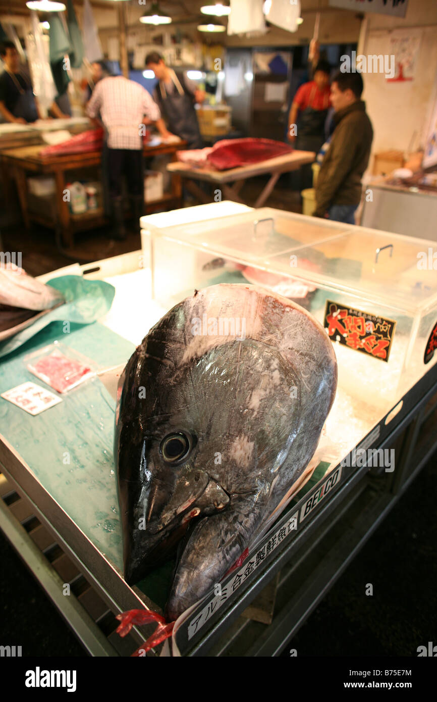 Beheaded fish hi-res stock photography and images - Alamy