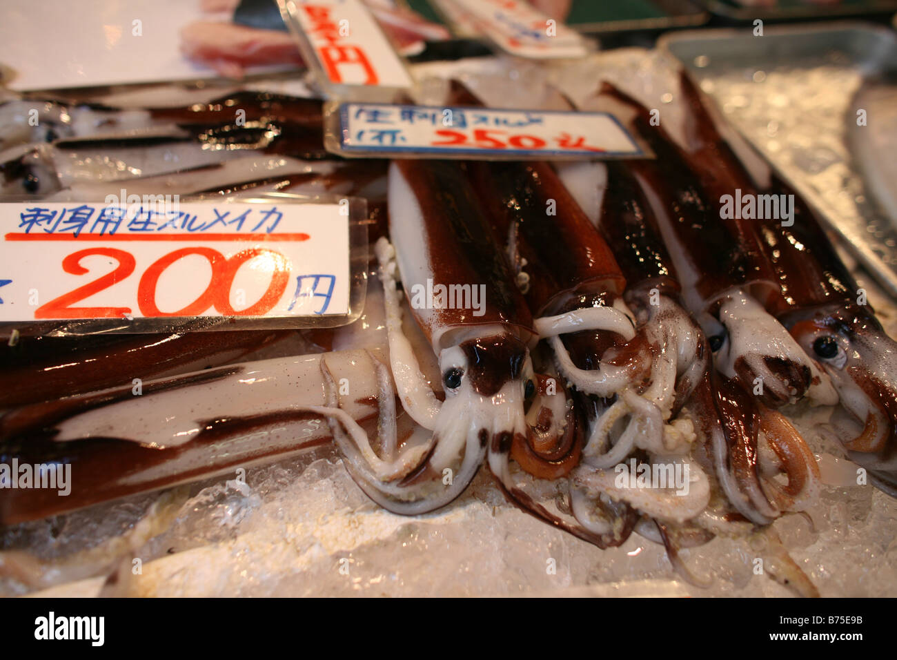 Fish slaughterhouse hi-res stock photography and images - Alamy