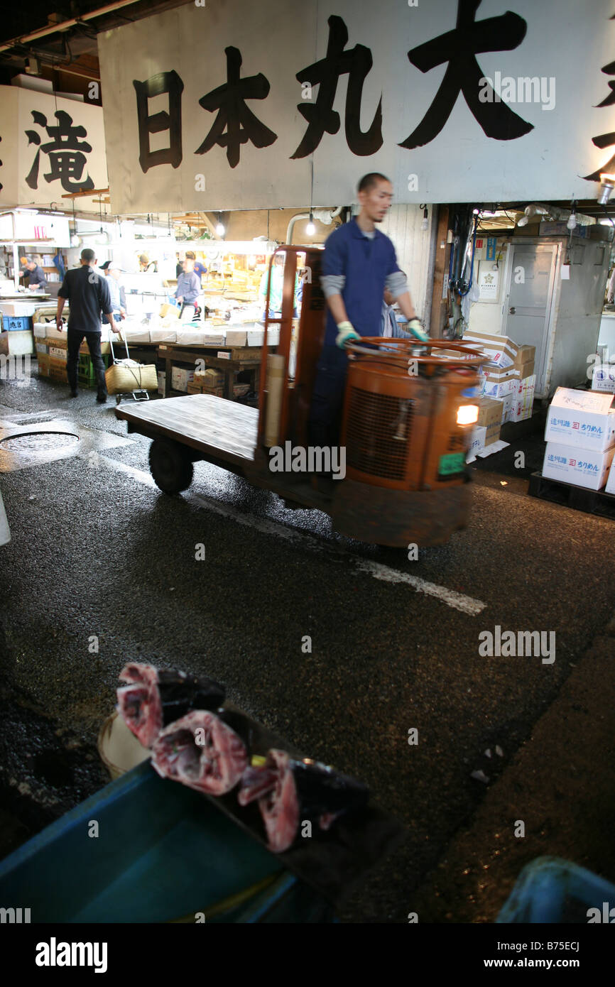 Fish slaughterhouse hi-res stock photography and images - Alamy