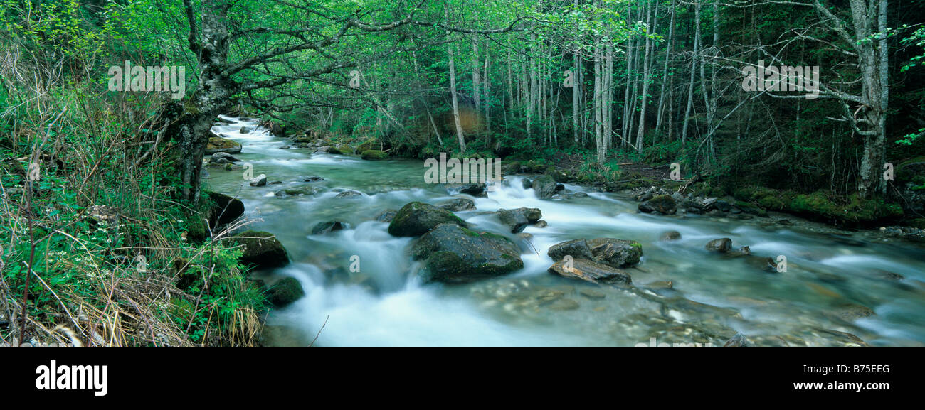 Leonbach hi-res stock photography and images - Alamy