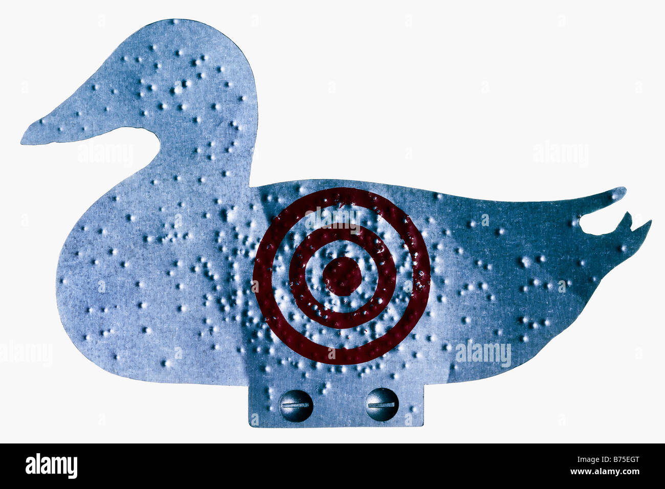 Close-up of a target duck Stock Photo - Alamy