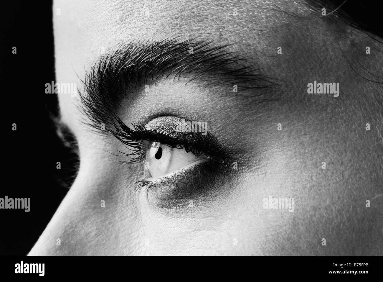 Close-up of a human eye Stock Photo - Alamy