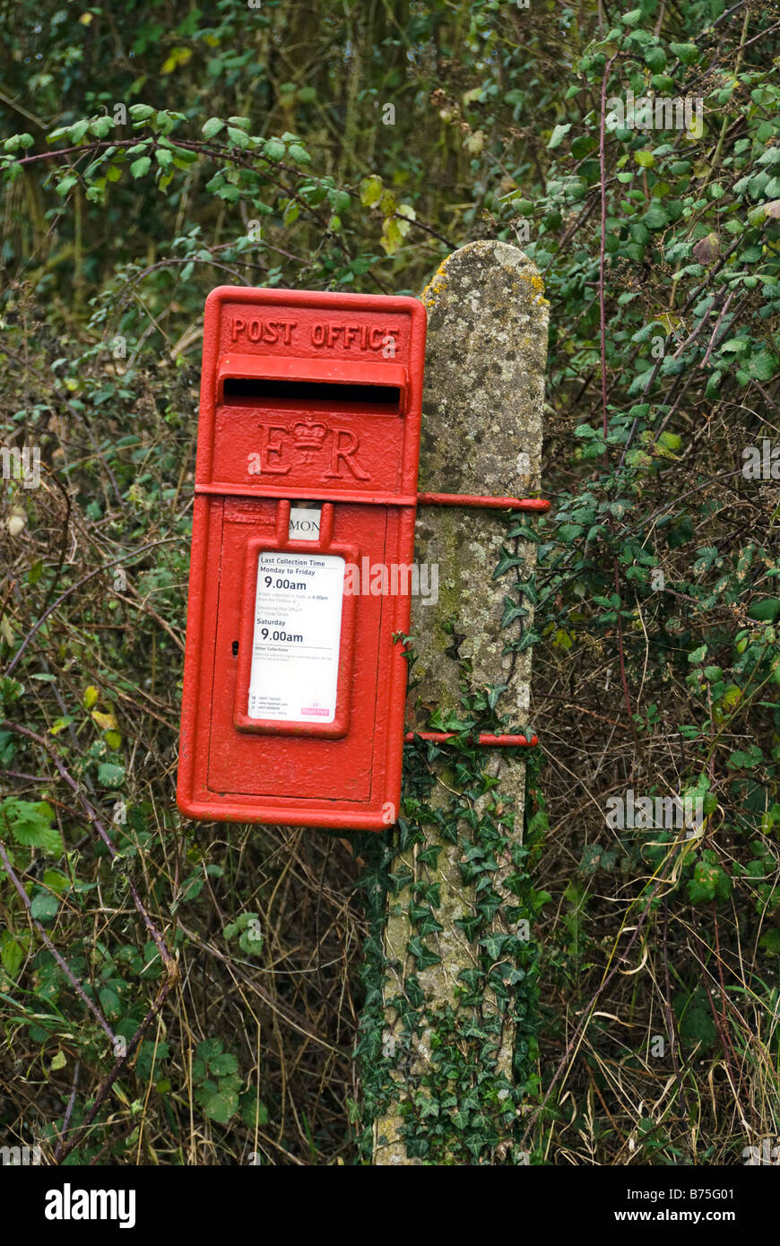 Rural Royal Mail letterbox in the countryside with undergrowth UK Stock ...