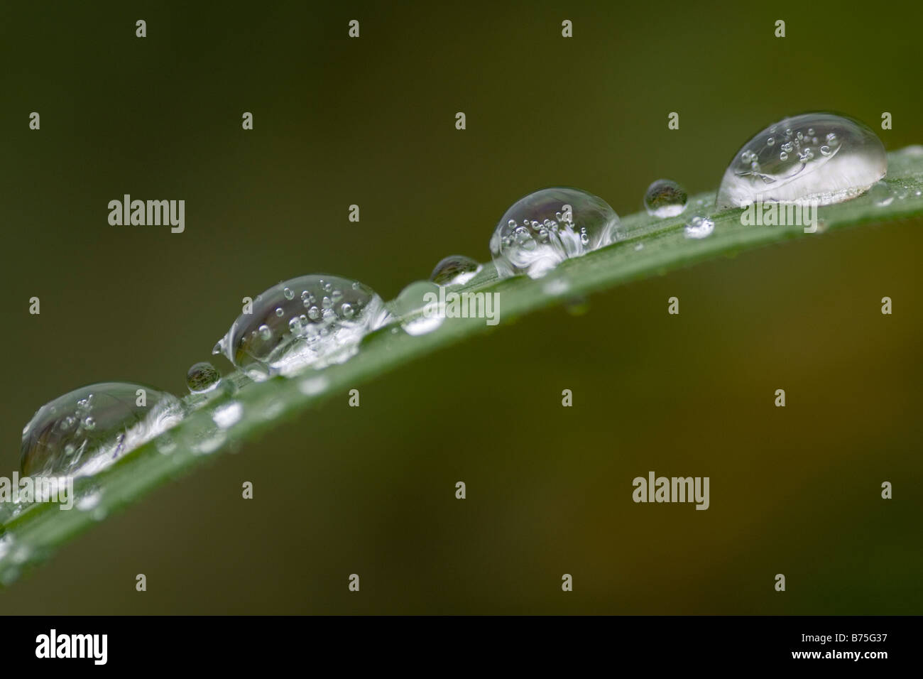 Clamminess hi-res stock photography and images - Alamy