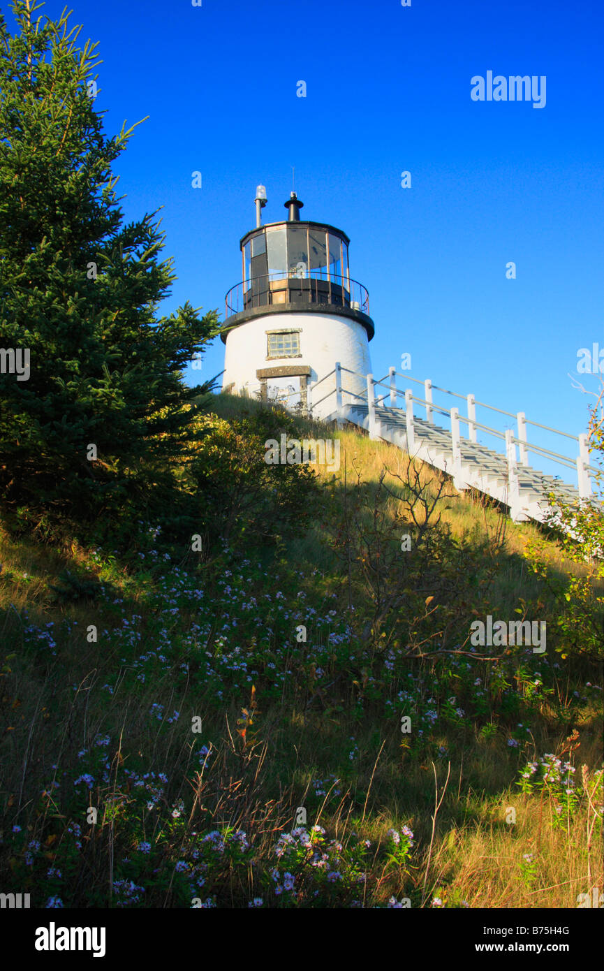 Owls head light hi-res stock photography and images - Alamy