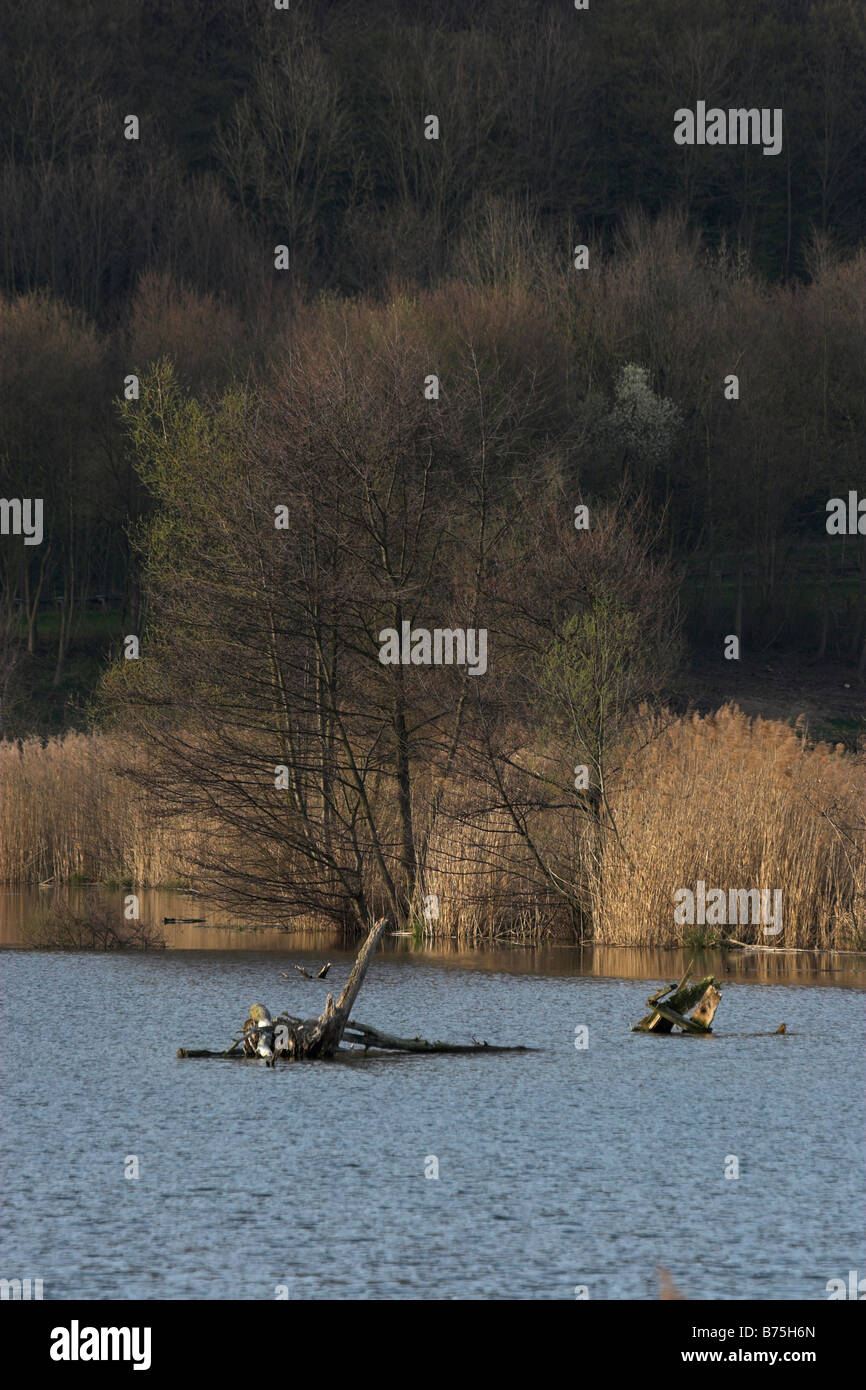 scandinavian countryside landschaft landscape scenery lake see Stock ...