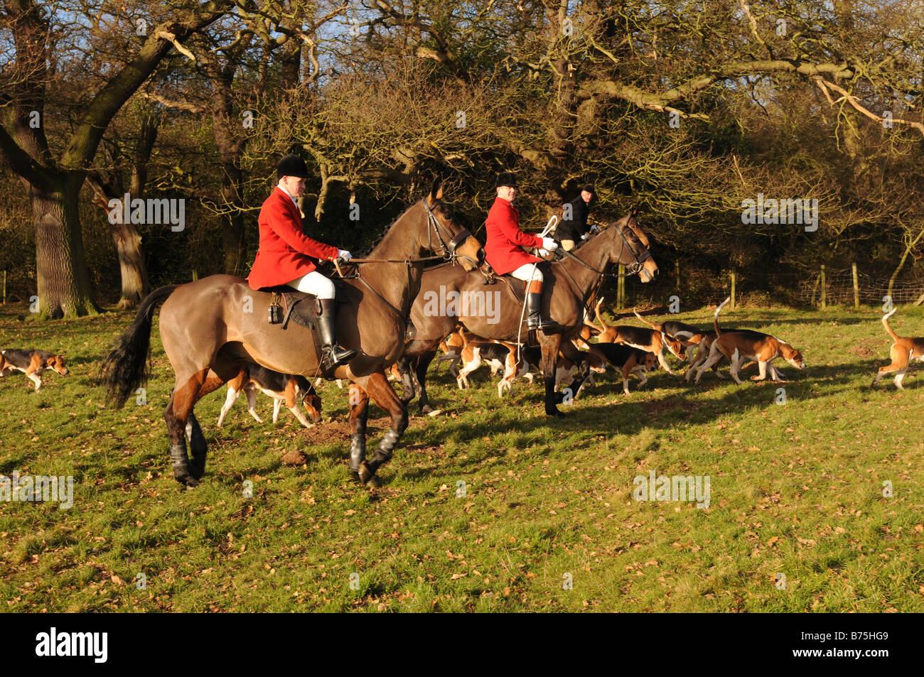 A hunting scene on Boxing day, Beverley Westwood, Yorkshire, UK Stock ...