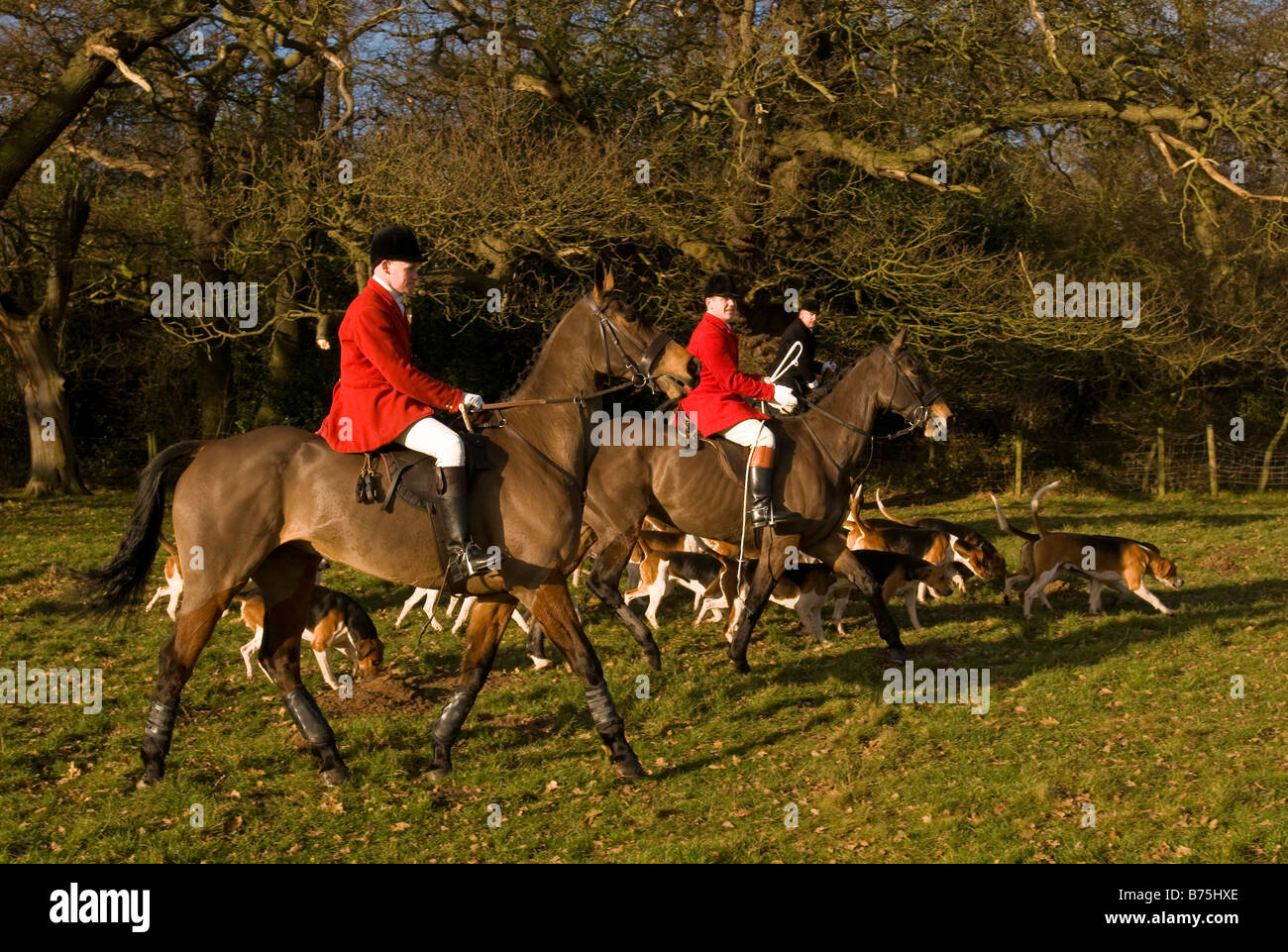 Holderness hunt hi-res stock photography and images - Alamy
