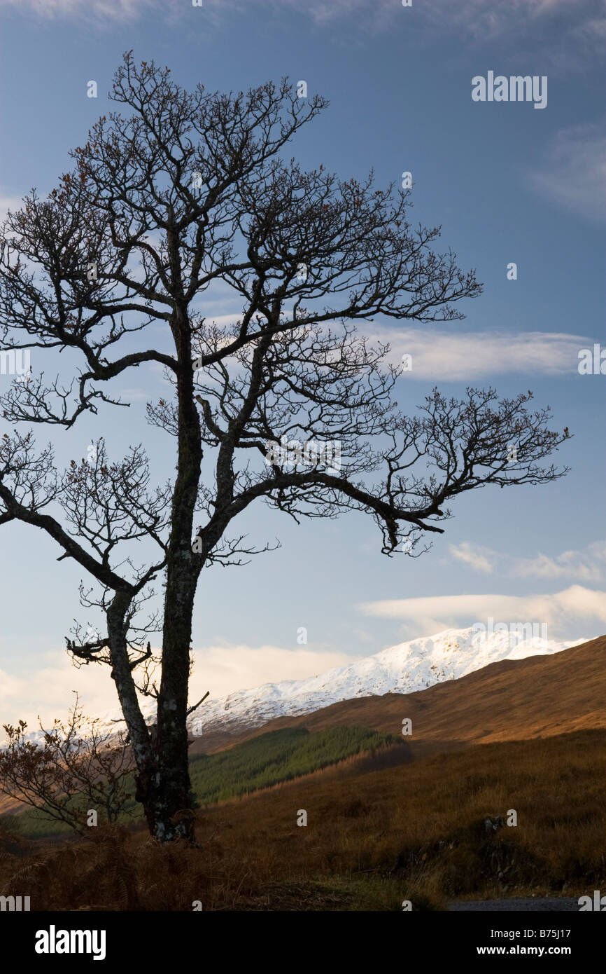 Highlands silhouette hi-res stock photography and images - Alamy