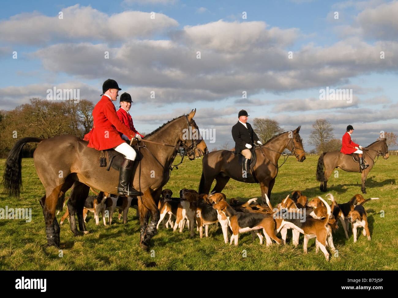 A hunting scene on Boxing day, Beverley Westwood, Yorkshire, UK Stock ...