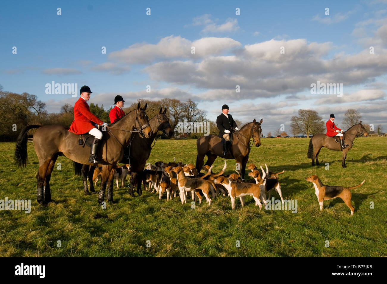 Holderness hunt hi-res stock photography and images - Alamy